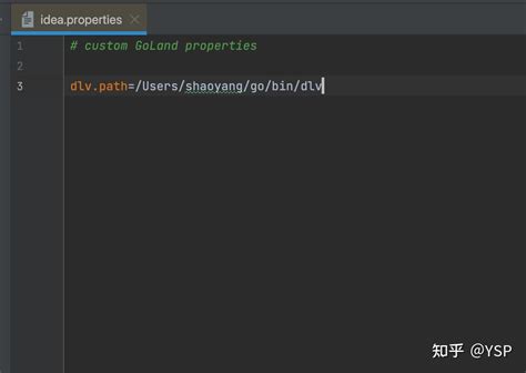 Goland修改ide本身bundle的golang Debugger 知乎