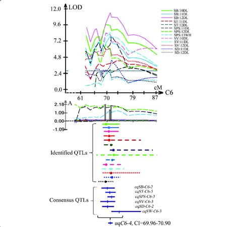 An Example Of The Unique Qtl Classification On C6 Chromosome