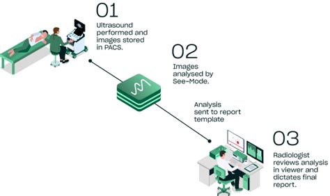 See Mode Workflow