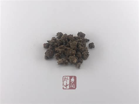 猫爪草的功效与作用 图片 禁忌 乡间郎中