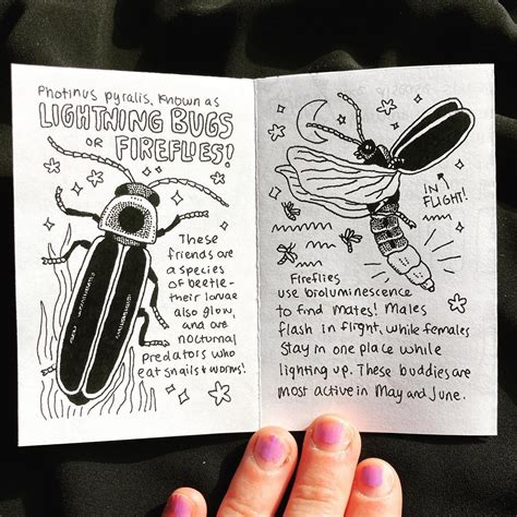 Issue Four Of My Chicago Bug Zine City Inverts Rawwnverts