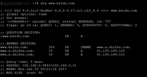 windows、linux查看域名解析、跟踪路由 dns local dns server csdn博客