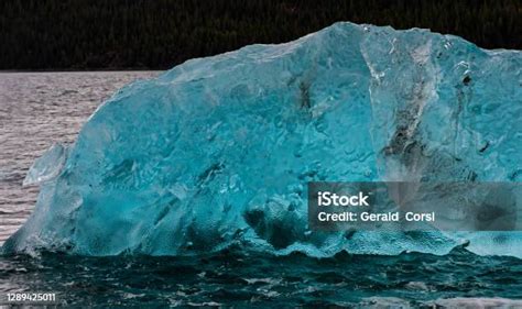 도스 빙하 얼음 포드 테러 황야의 엔디콧 암 통가스 국유림 알래스카 블루 빙산 또는 베르기 비트 투명한 푸른 얼음이 있는 얼음