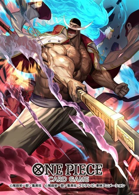 Adachi Yousuke Edward Newgate Marco One Piece One Piece One Piece Card Game Commentary