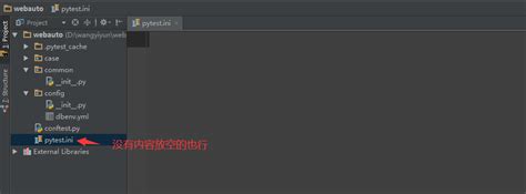 pytest文档65 内置 request 读取项目的根目录 rootdir test session starts得rootdir怎么看