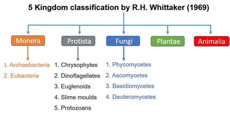 Biological Classification Ncert Notes ~ Science Groot