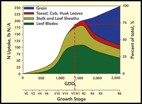 Rescue Nitrogen For Corn In Iowa Is It Too Late In 2025 Integrated
