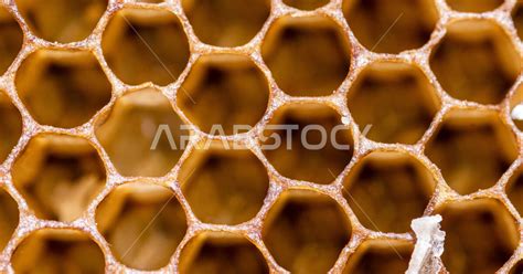 Beehive Hive Hexagonal Honeycomb Eyes Honeycombs Beeswax Storage