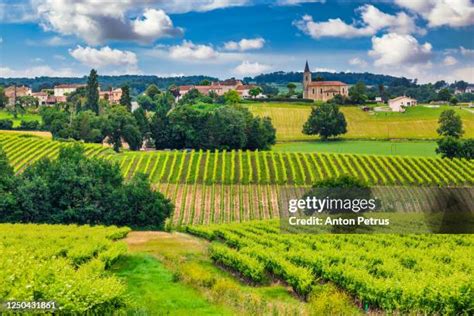 Gascony Photos And Premium High Res Pictures Getty Images