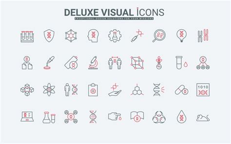 Chemistry Research Lab Molecular Analysis Set Vector Image