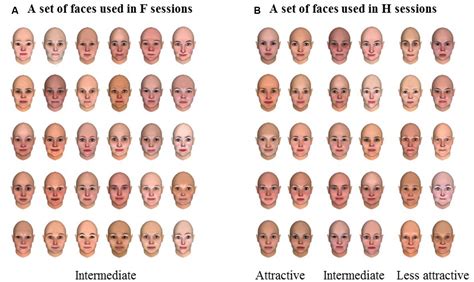 Attractive Face Scale