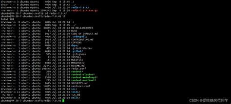 【redis】＜键值型数据库＞linux安装redis（无错完整）键值数据库redis如何安装 Csdn博客