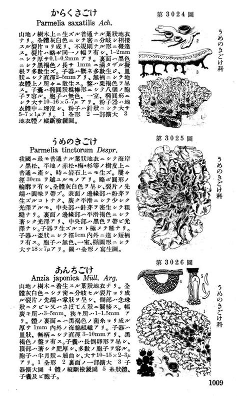 牧野日本植物図鑑（初版・増補版）インターネット版