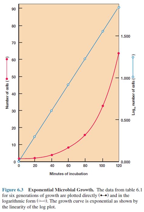 Microbiology Notes Microbial Growth Bacterial Growth Curve