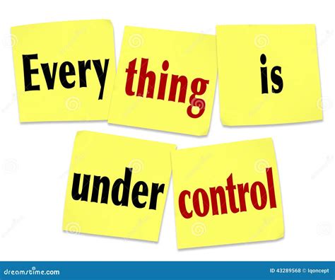 Everything Is Under Control Sticky Notes Saying Message Stock Illustration Illustration Of