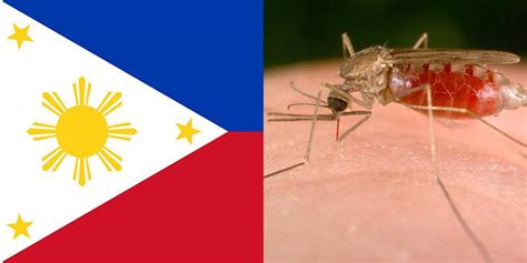 Malaria Di Filipina