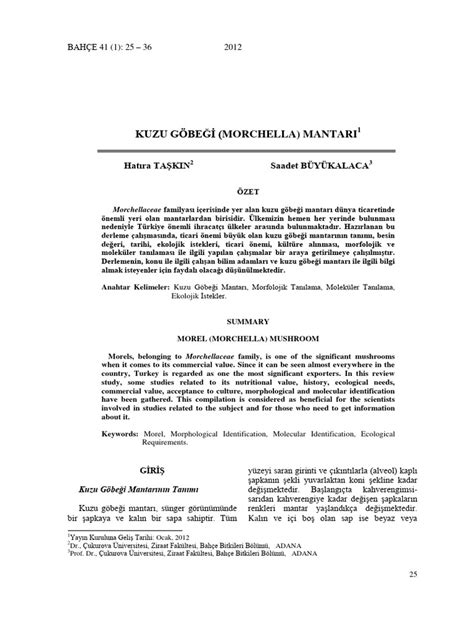 kuzu g be morchella mantari 46402 39699 pdf