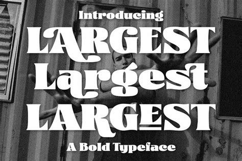 Largest Font Free Font