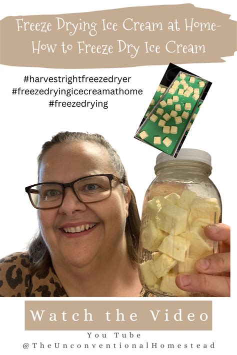 Freeze Drying Ice Cream At Home How To Freeze Dry Ice Cream Freeze Dried Ice Cream Ice Cream