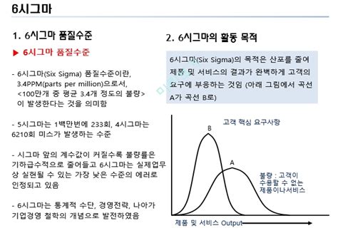6시그마 Six Sigma 경영경제레포트