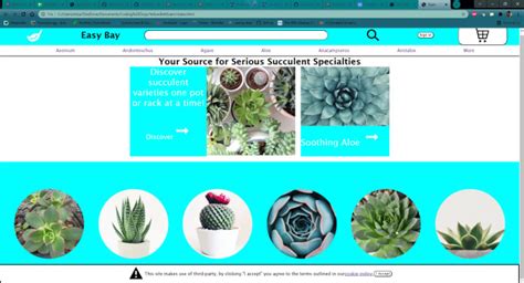 Design A Fully Functional Web Application By Lizlenzer1998 Fiverr