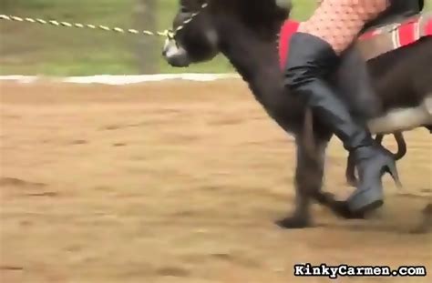 The Best Pig Farms Are In Germany Flokossama Eporner