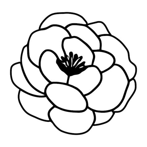 손으로 그린 간단한 꽃 그림 프리미엄 벡터