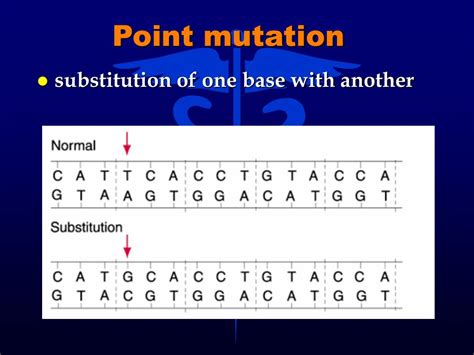 Ppt Chapter 7 Gene Mutation And Dna Polymorphisms Powerpoint Presentation Id 3972840