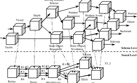 Toads Prey Predator Visuomotor Coordination Model Architecture With Download Scientific