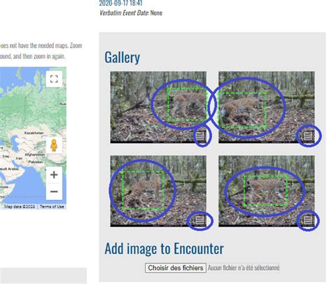 Display In Firefox Browser Bug Reports Wild Me Community Forums