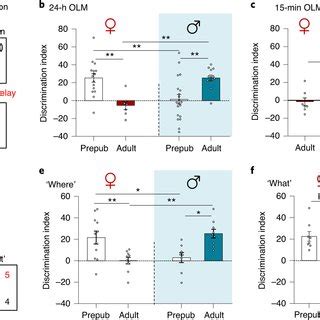 Adult Sex Differences In Spatial Learning Are Reversed Before Download Scientific Diagram