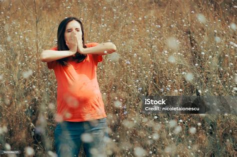 Pregnant Woman Sneezing From Allergies Standing In A Flower Meadow