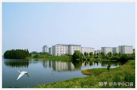 中南民族大学2023届保研名单公布214名同学获得保送资格 知乎