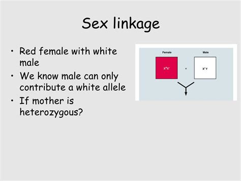 PPT Linkage Sex Linkage Pedigrees PowerPoint Presentation Free Download ID 4145367