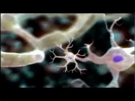 Introduction To Cells Teaching Biology Science Biology Science Cells