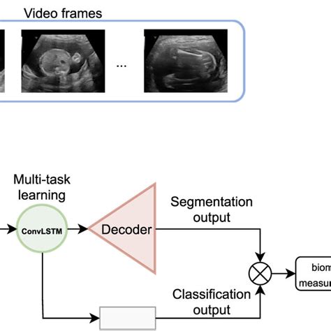 Overview Of The Proposed Method We Use A Fetal Us Video Scan As Input