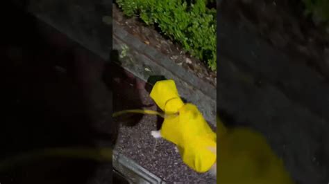 우비소년 Youtube