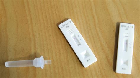 NSW Education To Trial Rapid Antigen Testing At Albury Babes News Com Au Australias