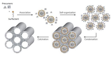 16 Schematic Overview Of A Typical Self Assembly Self Organization