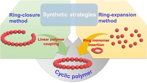 Synthesis Strategies For Cyclic Polymers Download Scientific Diagram