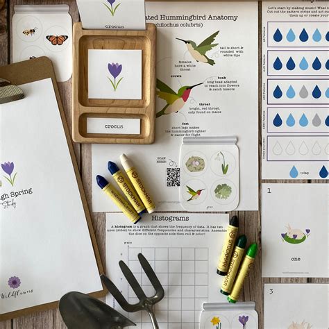 Sorting Through Spring — Wildflowers