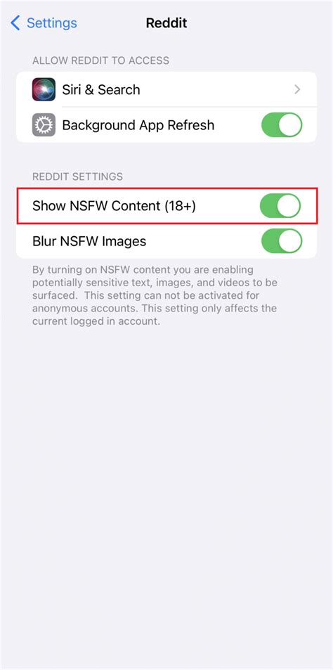 How To Turn On Or Off NSFW On Reddit TechCult