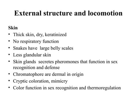 Reptiles Power Point Presentation Ppt