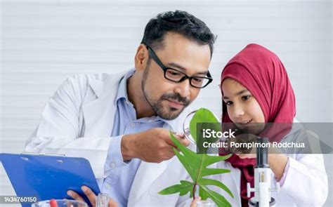 잘생긴 선생님 히잡을 쓴 어린 소녀 머리 스카프 흰색 그라운드 유니폼 가르치기 학교 교실에서 과학 공부 미소 식물 연구 실험을 함께 하고 있습니다 교육 개념입니다 과학에