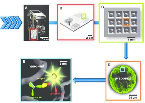 from macro to nano a in the p bnc system interface with the human