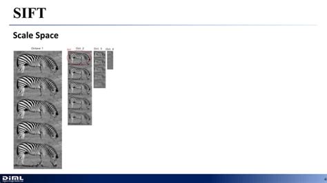 Scale Invariant Feature Transform Ppt