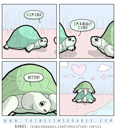 Turtle Love Memes Sea Turtle Couple This Is Us Our Life Our Story