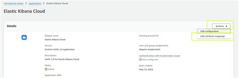 Guide How To Setup Single Sign On With Aws Sso On Kibana Cloud