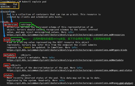 【kubernetes实战】四、pod详解①——pod的结构、定义和配置pod配置文件 Csdn博客