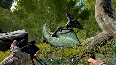 How To Tame A Pteranodon In Ark Survival Evolved